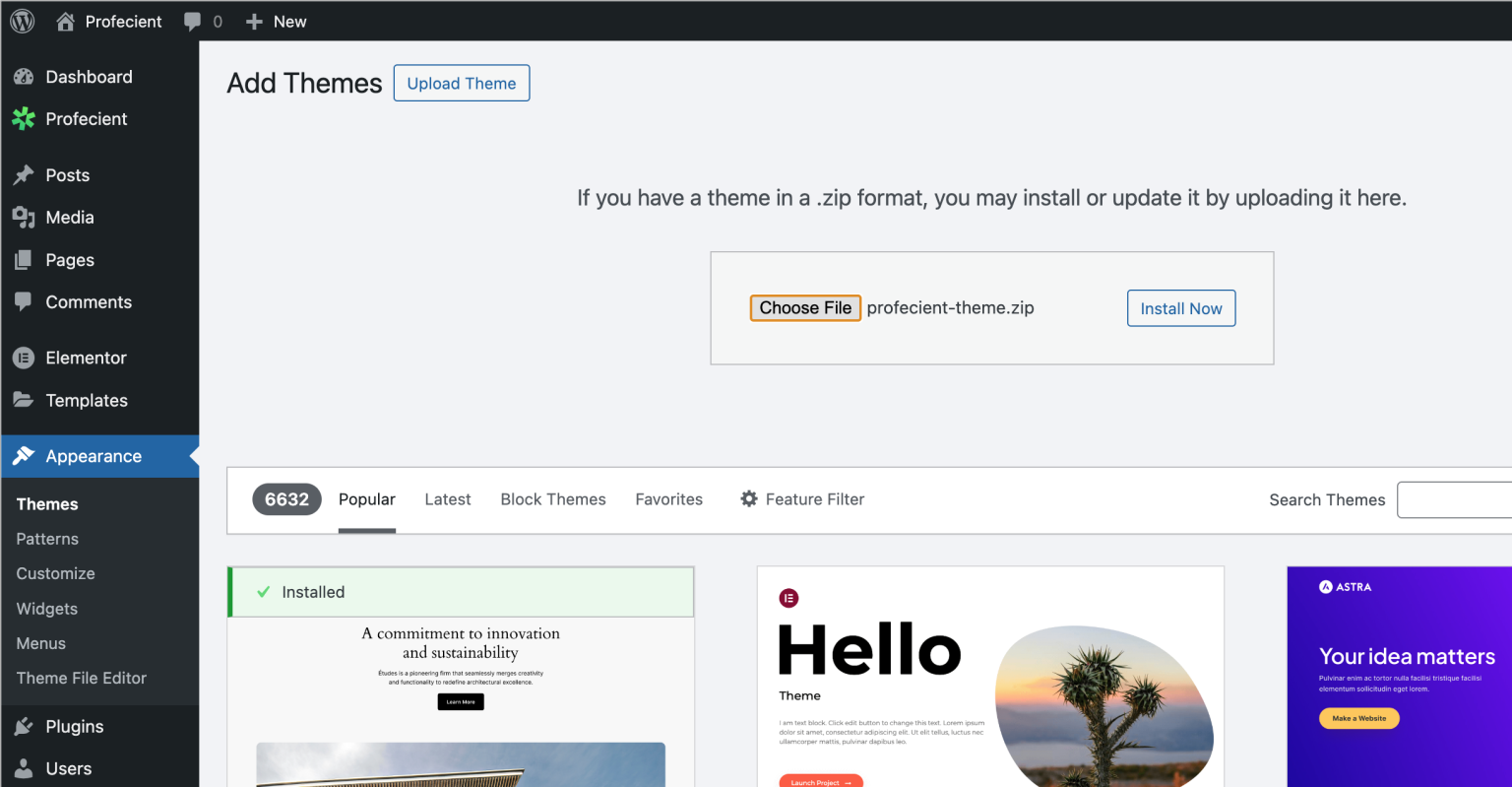 Update Theme - Profecient